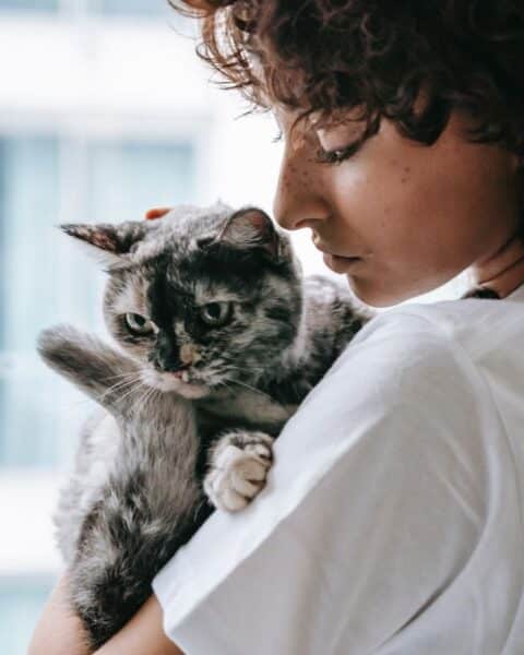 Best Veterinary Hospital In Aloha, OR | Aloha Animal Medical Center