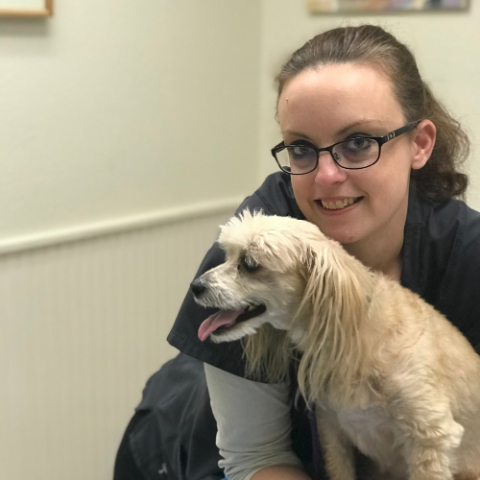 Veterinarian In Aloha, OR 97007 | Aloha Animal Medical Center